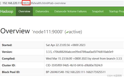 大数据学习初级入门教程（十六） —— hadoop 3 x 完全分布式集群的安装、启动和测试 hadoop 集群测试 yarn csdn博客
