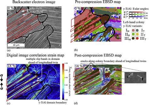 Combined B Digital Image Correlation Strain Mapping And Cd