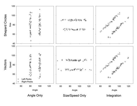Final 80 Categorization Responses For One Representative Bird See Download Scientific Diagram