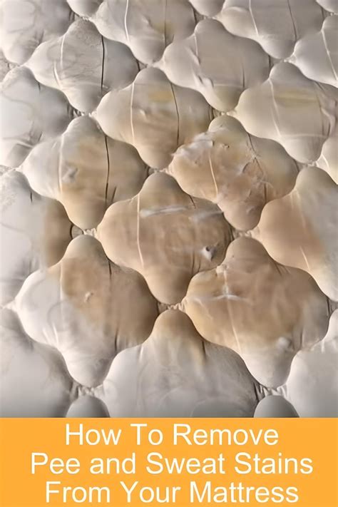 How To Remove Pee And Sweat Stains From Your Mattress