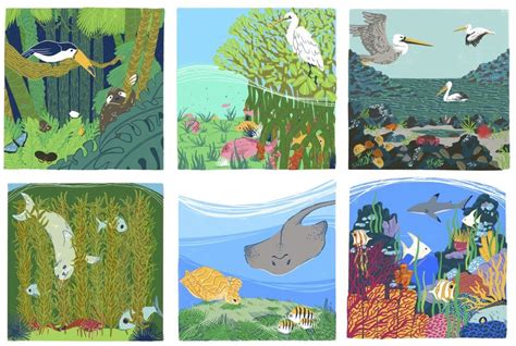 2 Habitat Complexity And Associated Biodiversity Of Natural Ecosystems