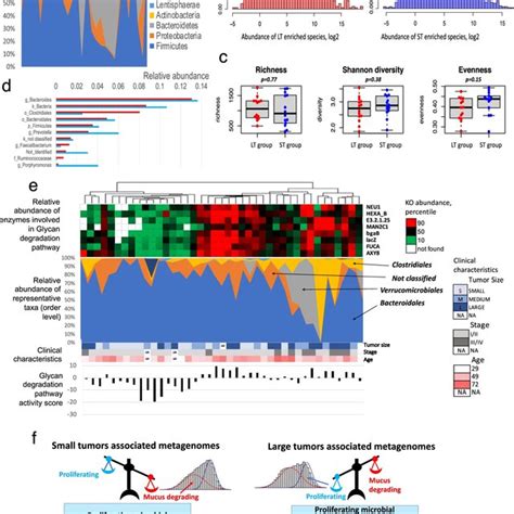 Taxonomic Profiling And Biological Models Of Ma Metagenomes In Lt And Download Scientific