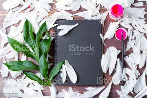 검은 색 페이지 분홍색 페인트와 나무 배경에 브러시와 노트북 탁자 위에 하얀 꽃잎이 흩어져 있습니다 플랫 레이 복사 공간 0명에 대한 스톡 사진 및 기타 이미지 Istock