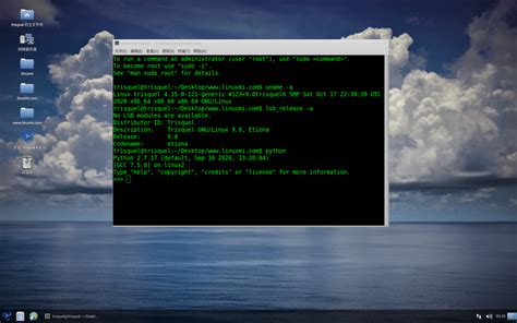Trisquel GNU Linux 发布适合寻求 自由的人准备 Linux迷