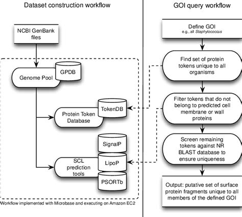 the goi query workflow apid2 uses the datasets provided by the