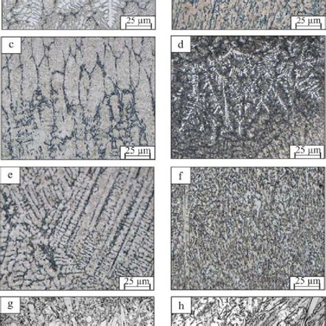 Structural Features Of Coatings Of The Sample Formed By Cladding The Download Scientific