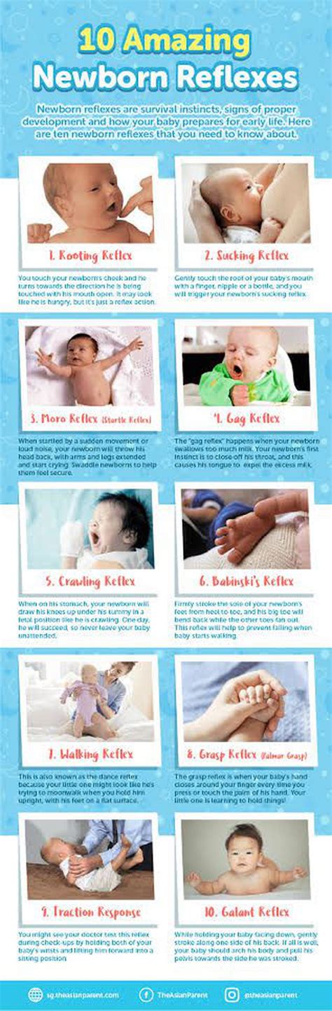 Newborn Reflexes Medizzy