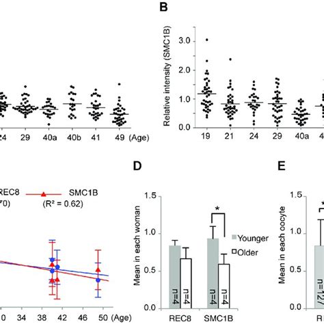 Schematic Of Microinjection Into A Mouse Oocyte The Oocyte Is Held In Download Scientific