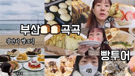 부산빵빵곡곡 빵투어ㅣ부산 빵투어ㅣ희와제과ㅣ온타임ㅣ허대빵ㅣ오디너리레시피ㅣ구월의마카롱ㅣ더베이베이커리ㅣ퍼프베이커리ㅣ아니버ㅣ빵순이 Youtube