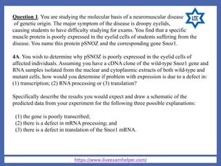 Exam Questions And Solutions Of Molecular Biology PPTX Biological Sciences Science