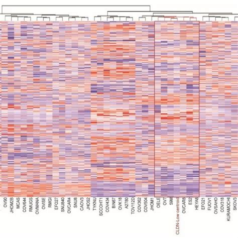 Identification Of The Claudin Low Subtype In Ccle Ovarian Cancer Cell Download Scientific
