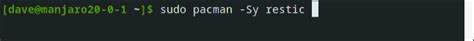 How To Use The Restic Backup Program On Linux
