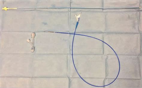 Technical Aspects In Coronary Sinus Reducer Implantation Eurointervention