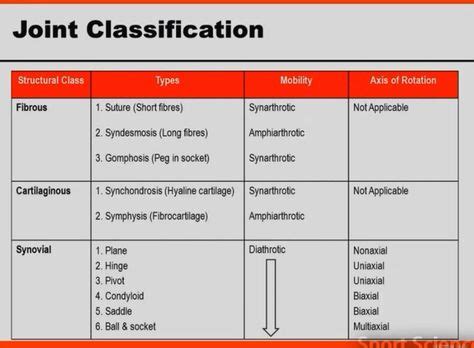 Joint Classification