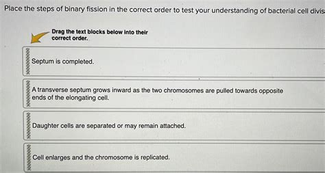 [answered] place the steps of binary fission in the correct order to
