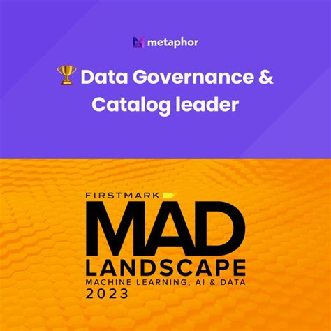 metaphor data on linkedin data dataleader datagovernance