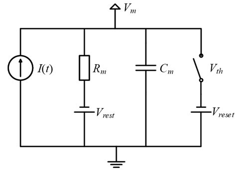 Equivalent Circuit Of LIF Neuron Model 29 Download Scientific Diagram