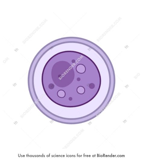 Free Toxoplasma Gondii Unsporulated Oocyst Icons Symbols And Images