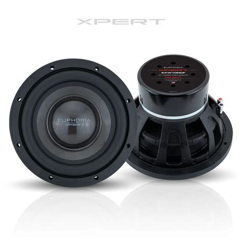Exw10ncf 10 Neo Carbon Fiber Woofer Lucky 7 Fort Worth