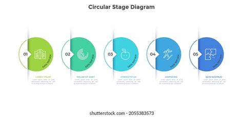 Circular Stage Diagram Design Development Analytics Stock Vector