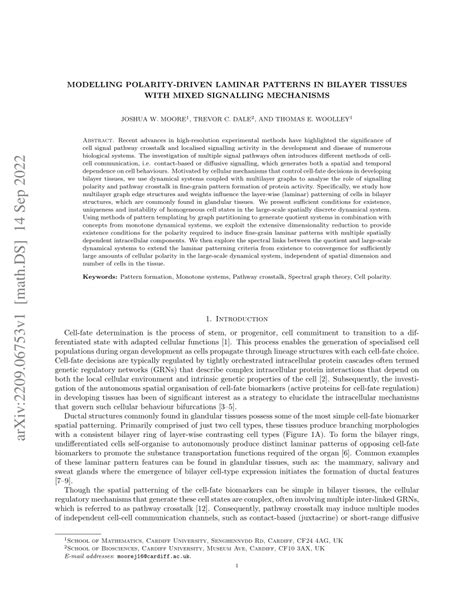 Pdf Modelling Polarity Driven Laminar Patterns In Bilayer Tissues