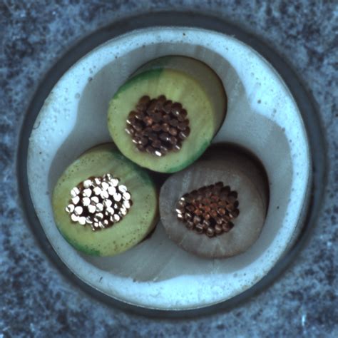 Gentlemenofsaclay Anomaly Detection Image At Main