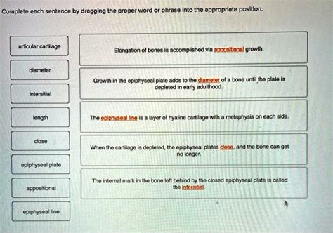 Solved Complete Each Sentence By Dragging The Proper Word Or Phrase Into The Appropriate