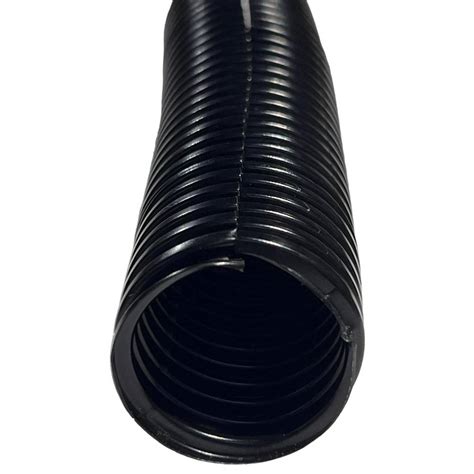 طيور الحباري