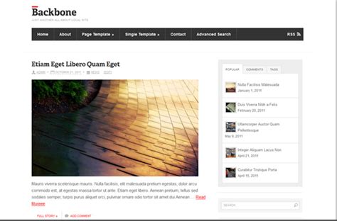 8 Helpful Wordpress Customization Tutorials Designorbital
