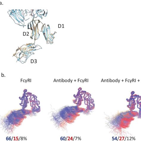 Fcγri Conformational Distributions May Also Reflect Antigen Binding A
