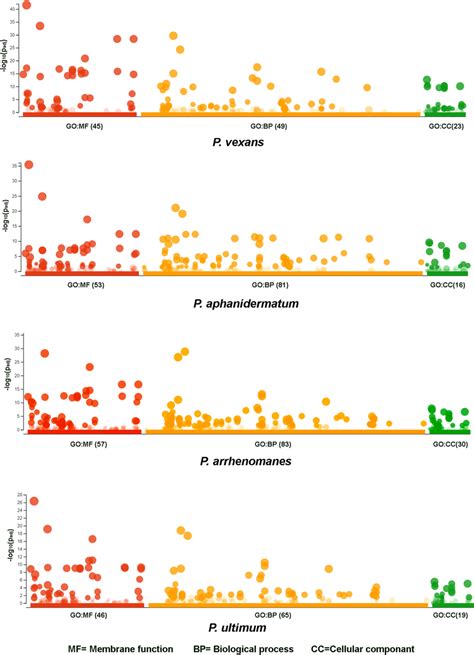 Manhattan Plot Illustrating The Enriched Terms Across All The Analysed