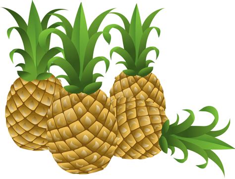 Pineapple Free To Use Clip Art Clipartix