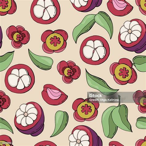 망고스틴 과일 원활한 패턴 직물 직물 벽지 포장 카페에 대한 디자인 0명에 대한 스톡 벡터 아트 및 기타 이미지 0명 과일 꽃 식물 Istock