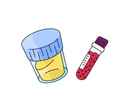 How To Get Tested For Std A Comprehensive Guide Youly