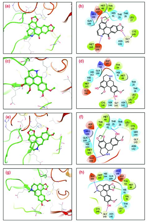 3d Representation Of Sars Cov 2 Docked Complexes Exhibiting