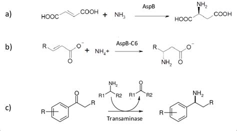 Reactions Catalyzed By A Native Aspb B Mutant Aspb C6 And C ω