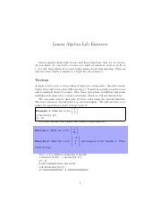 Linear Algebra Lab Exercises Pdf Linear Algebra Lab Exercises Linear Algebra Deals With