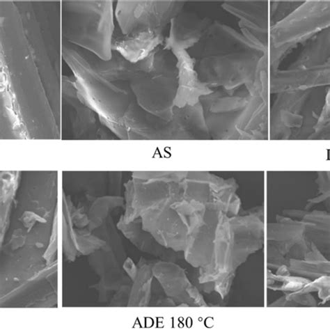 The Microstructure 1000 × Of Untreated Acid Spraying As Dry