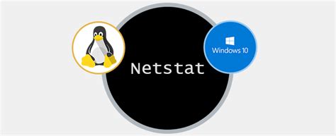 Linux Command Netstat Là Gì Hướng Dẫn Sử Dụng Netstat Trên Linux