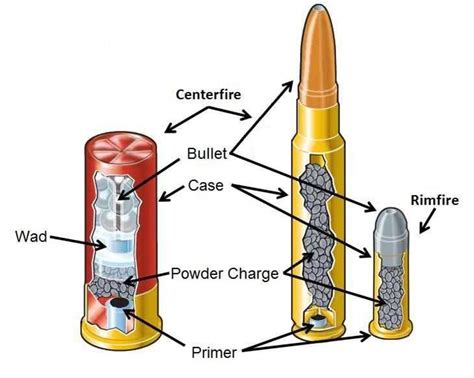 Anatomy Of A Bullet Diagram Unveiling Its Components
