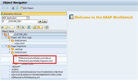 Adding Custom Fields To Promotion Details Ui5 Scre Sap Community