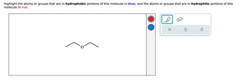 Solved Highlight The Atoms Or Groups That Are In Hydrophobic