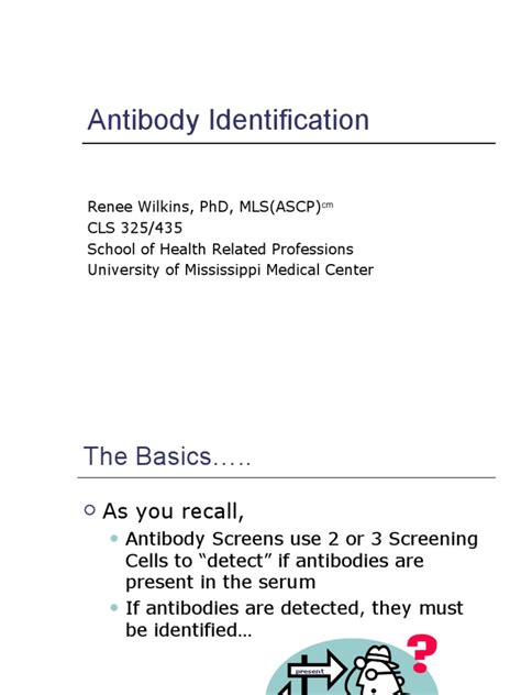 Ab Identification Pdf Antibody Medical Specialties
