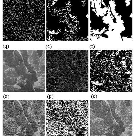 Olive Tree Segmentation Sequence A Initial Image Intensity Download Scientific Diagram