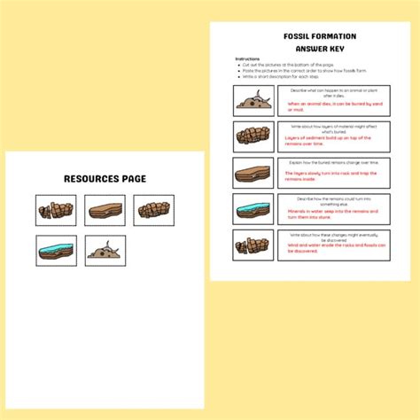 Fossil Formation Worksheet Cut And Paste Sequencing Activity