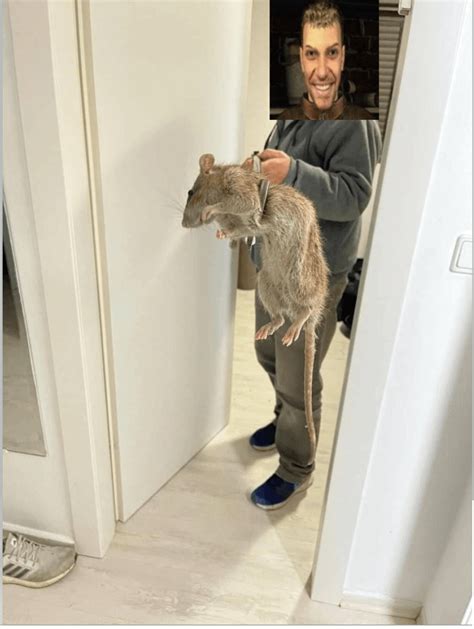 Itt Post Your Best Pathologic 1 And 2 Memes Rpathologic