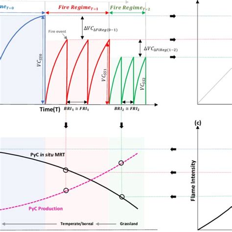 schematic representation of the interrelation between plot or biome