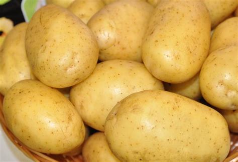 Купить Картофель Королева Анна оптом с доставкой по России