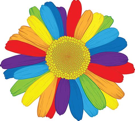 30 De Colorido Arco Iris Flor Pétalos De Una Flor De Margarita