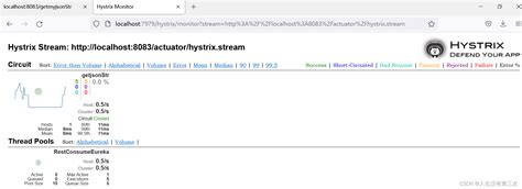 使用hystrix断路器（二）监控断路器指标流，使用可视化工具hystrix dashboard enablehystrixdashboard